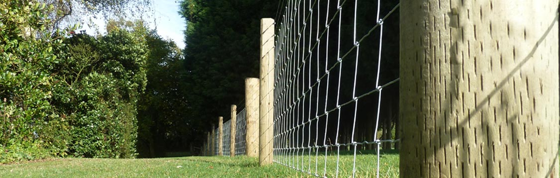 M&M Timber Agricultural & Farm Fencing | Timber Posts & Rails