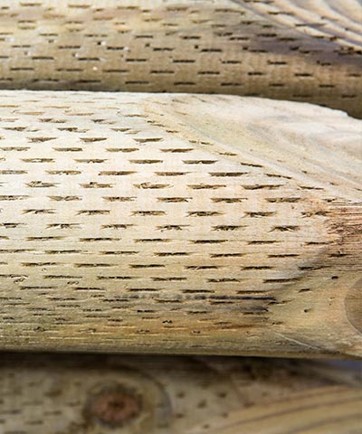 incising-bucket - M&M Timber