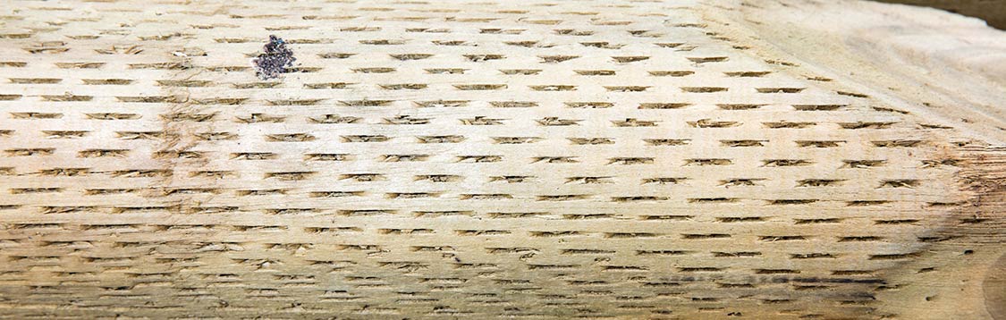 incising-runner - M&M Timber