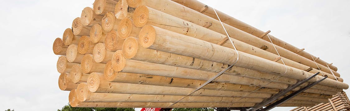 treatment-runner - M&M Timber