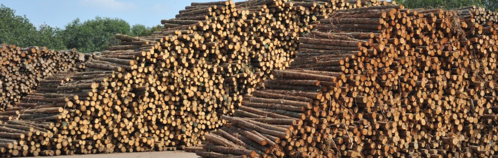 M&M Timber Machine Round Timber Manufacturing