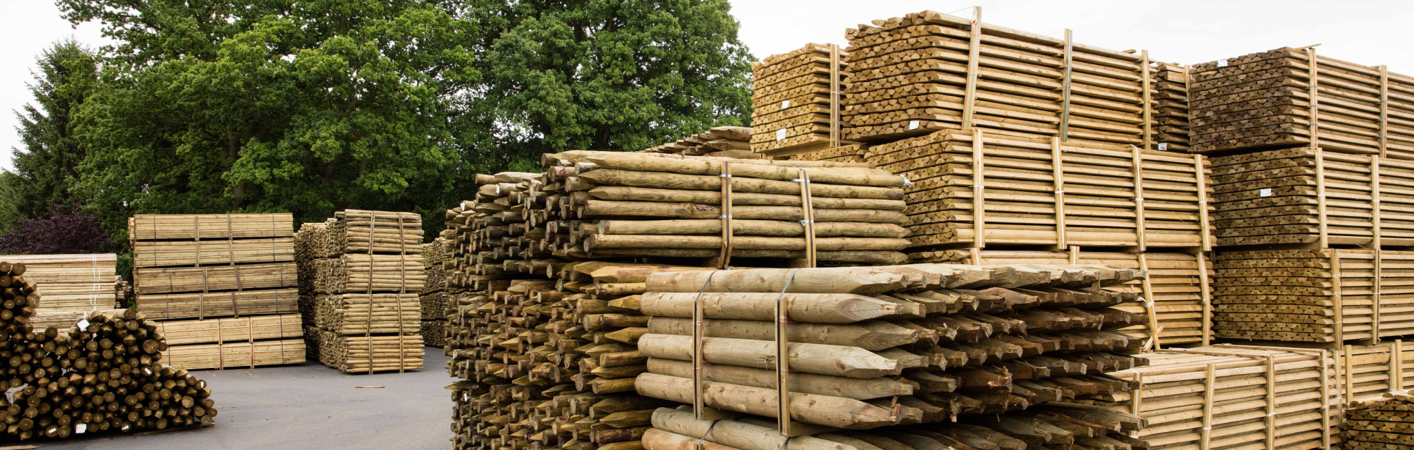 M&M Timber Information Hub with Information on timber