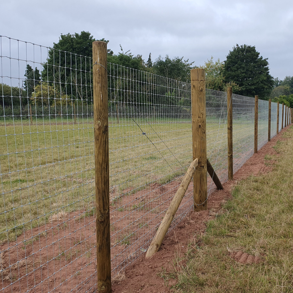 DeerGuard Fencing (2) - M&M Timber