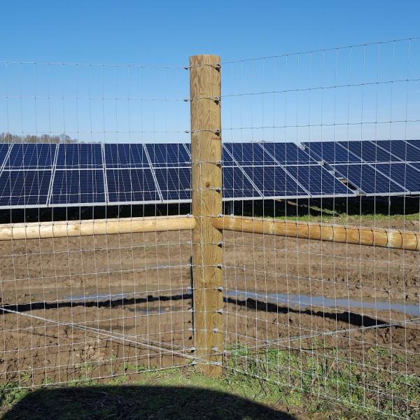 M&M-Timber- SolarGuard - M&M Timber